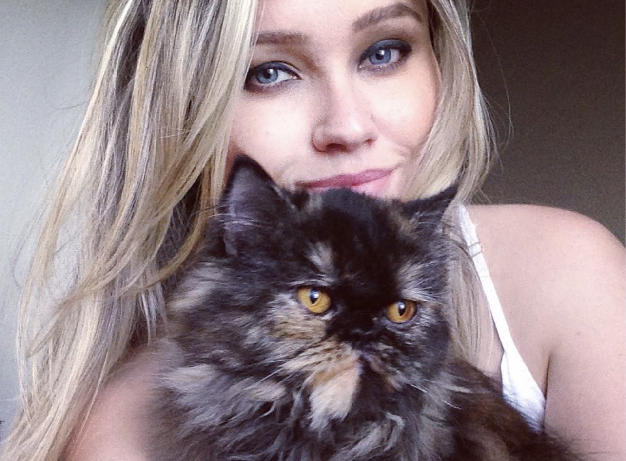 Gata persa "Amora" desaparece de residência no bairro Vilas Boas ...