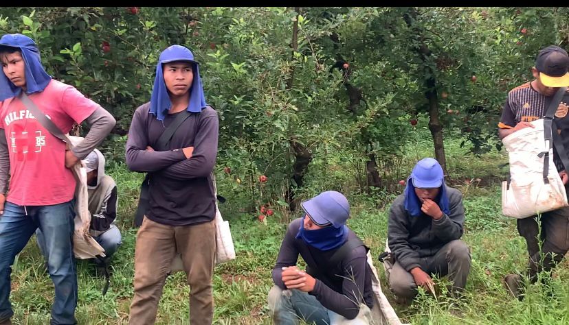 MPT e MPF-MS cobram o fim das 'taxas comunitárias' a lideres indígenas ... MPT e MPF-MS cobram o fim das 'taxas comunitárias' a lideres indígenas ...